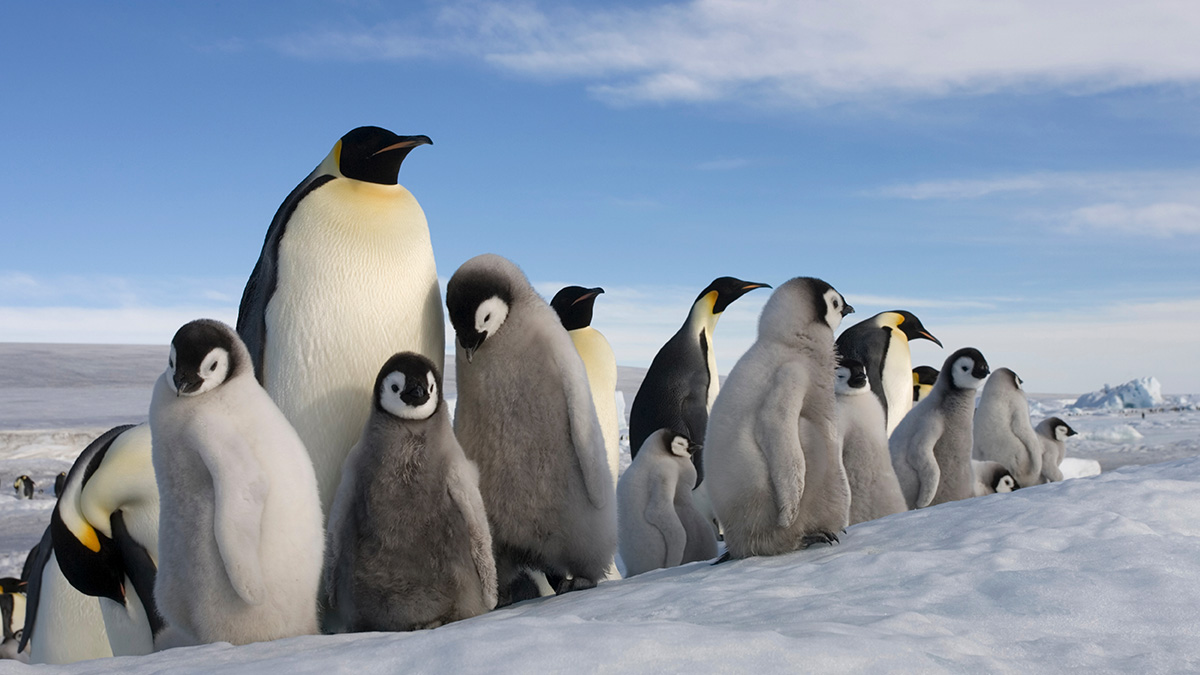 CLASS EARTH - Custom made of the highest qualityA new sustainable ...