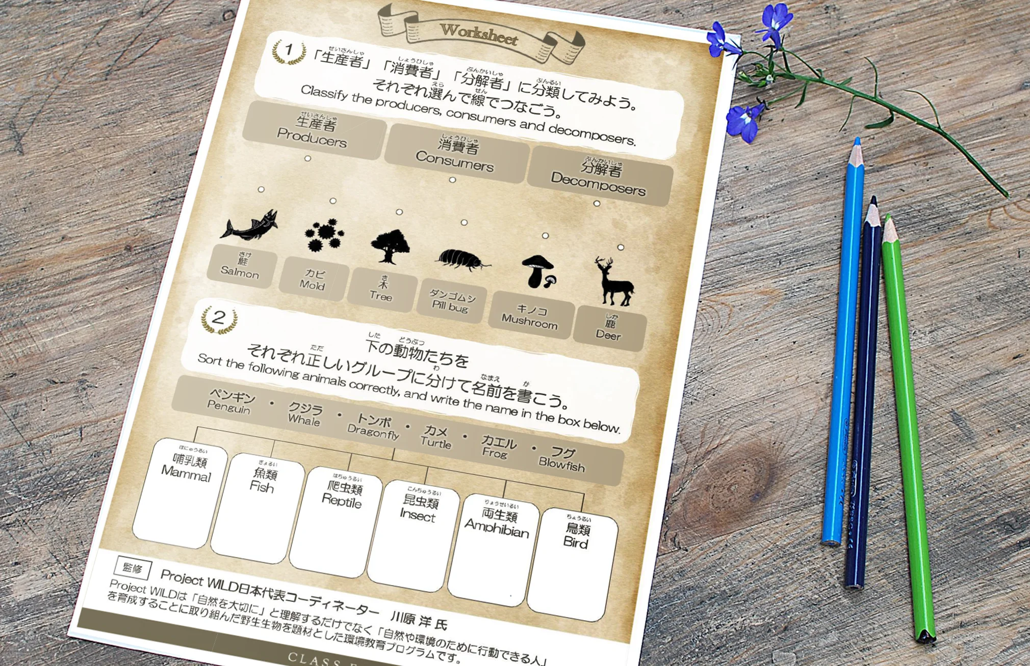 Education - CLASS EARTH