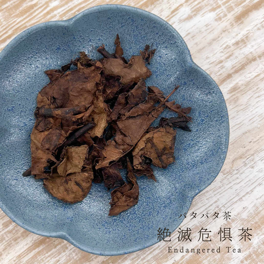 絶滅危惧茶 - CLASS EARTH