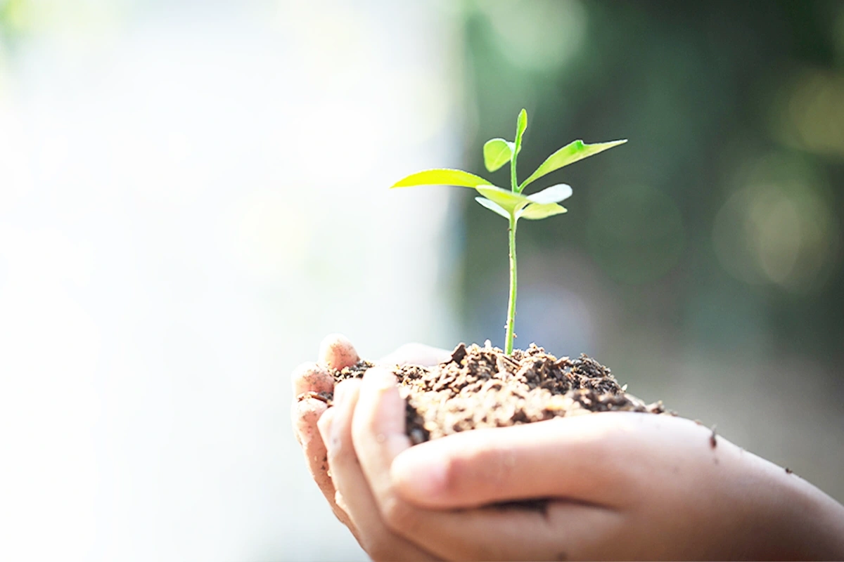Donation - CLASS EARTH Donation - CLASS EARTH