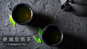 絶滅危惧茶 - CLASS EARTH